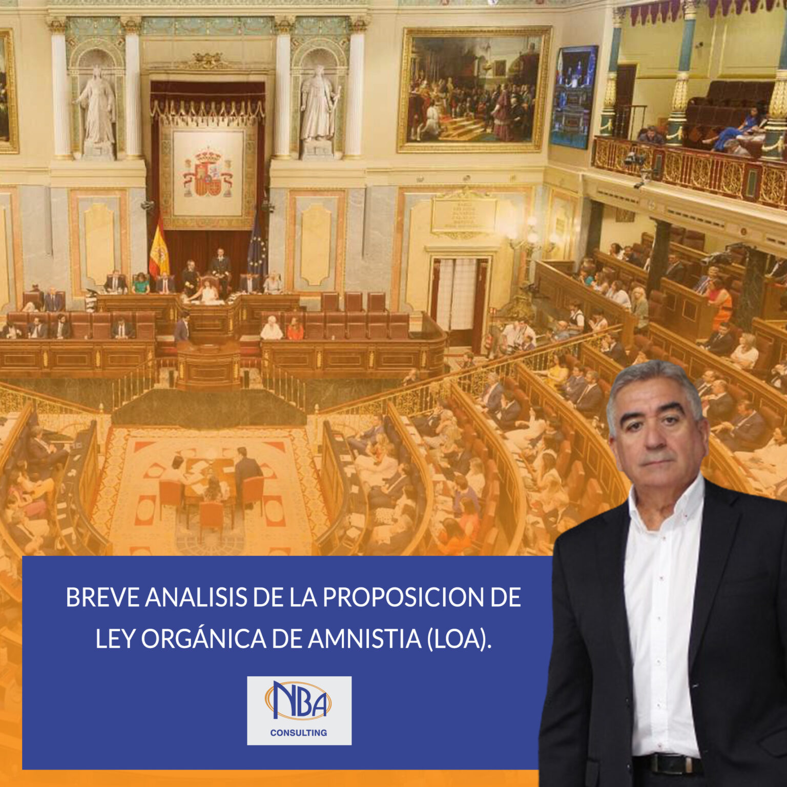 BREVE ANALISIS DE LA PROPOSICION DE LEY ORGÁNICA DE AMNISTIA (LOA ...